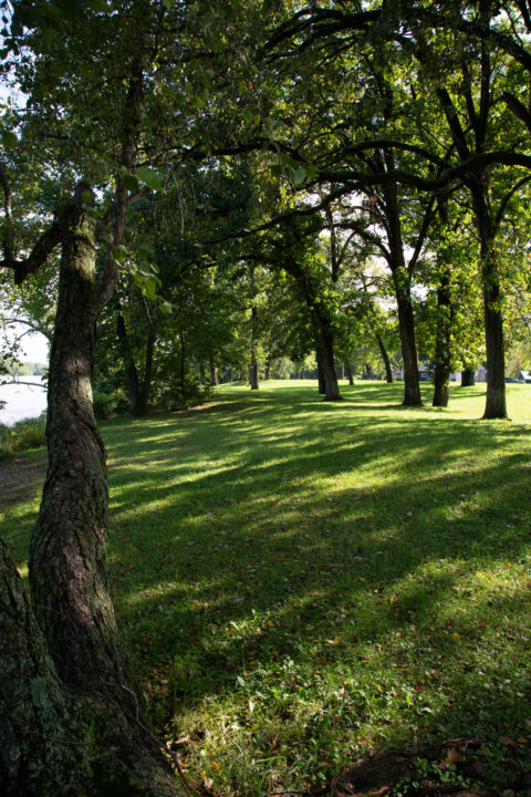 Domtar Kingsport Mill Conversion